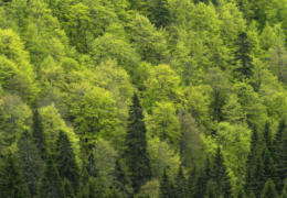 Gabyl – Comercialización y distribución de material eléctrico. El ...